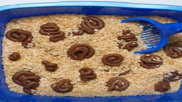 Society - Opposing Views