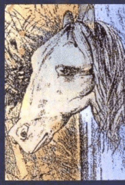 Expert Reveals What It Means If You See The 'Hidden' Animal In This ...