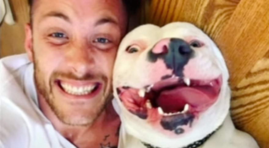 Man Shares This Photo Of His New Dog Online, People Immediately Call ...