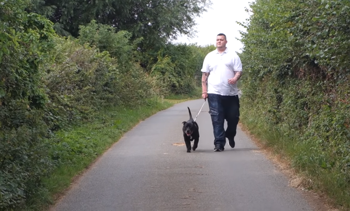 Man Decides To Take His Own Life, Then Notices What's In His Dog's ...