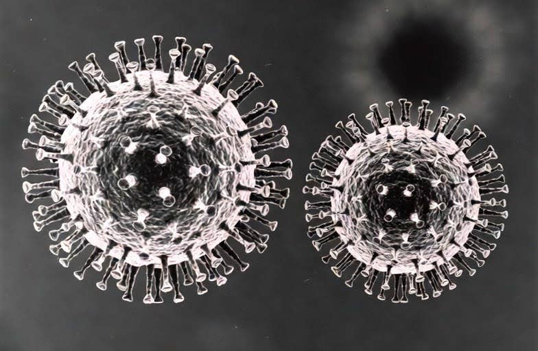 Types of Viral Genomes: DNA vs RNA Viruses Explained - Opposing Views
